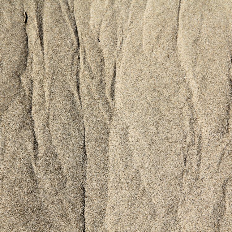 Ground texture wood sticks - Texture X