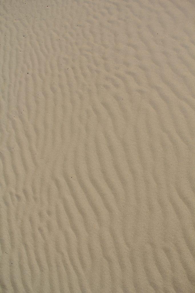 Texturex sand ripple texture beach dune white sandy Texture - Texture X