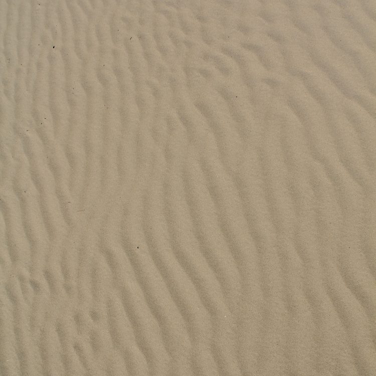 Texturex Concrete Lime Deposit Alien Landscape Texture - Texture X