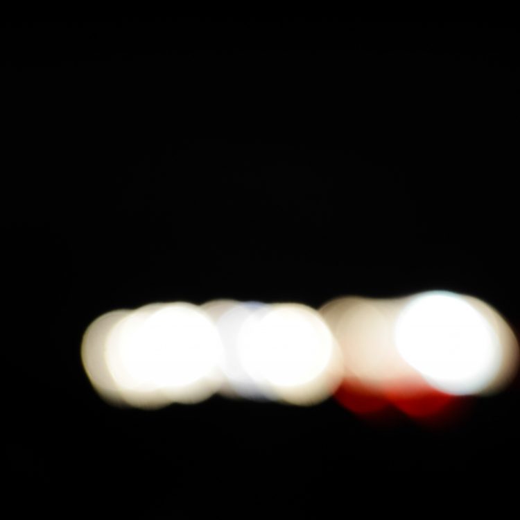 blur texture fuzzy forest movement trees long exposure photo - Texture X