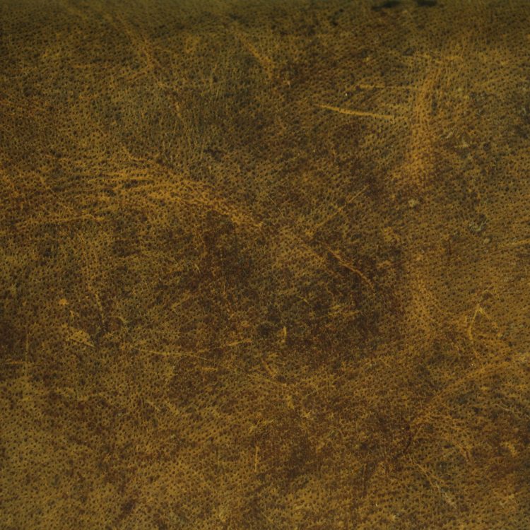 leather texture material surface orange bright smooth pattern photo ...