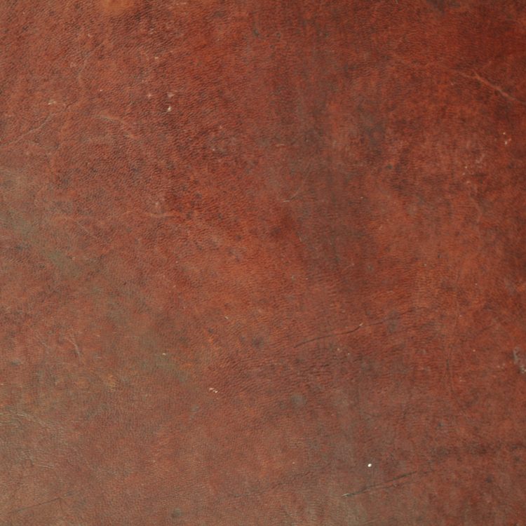leather texture material surface orange bright smooth pattern photo ...