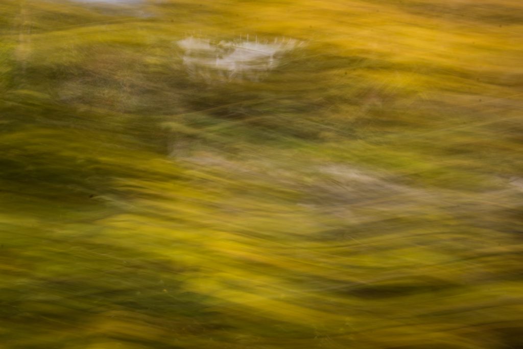 light blur texture natural color motion blur desktop background - Texture X