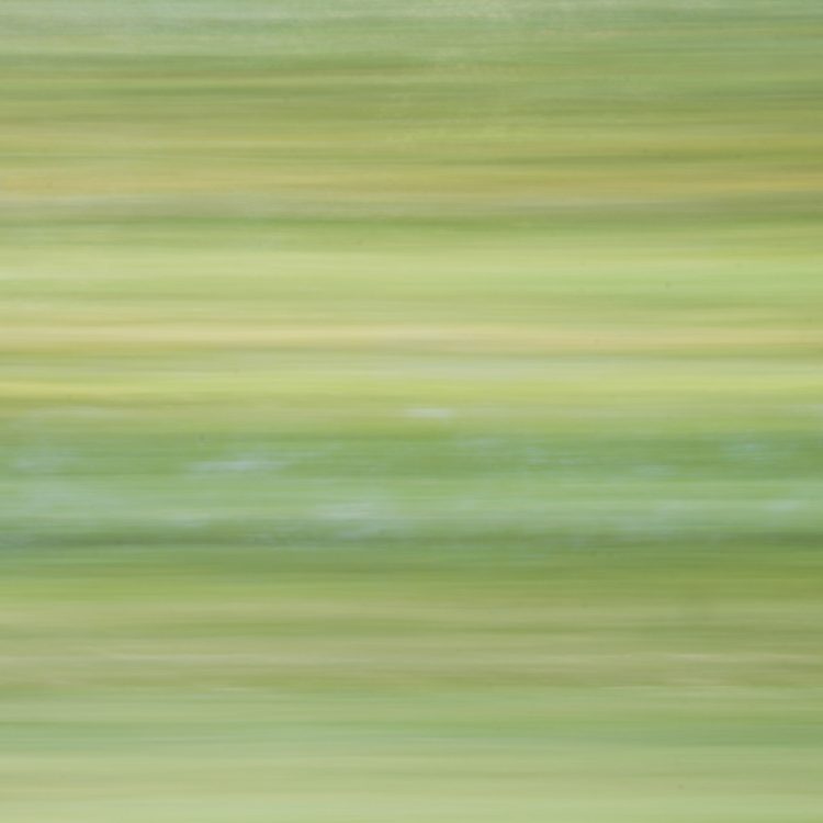 light blur texture natural color motion blur desktop background - Texture X
