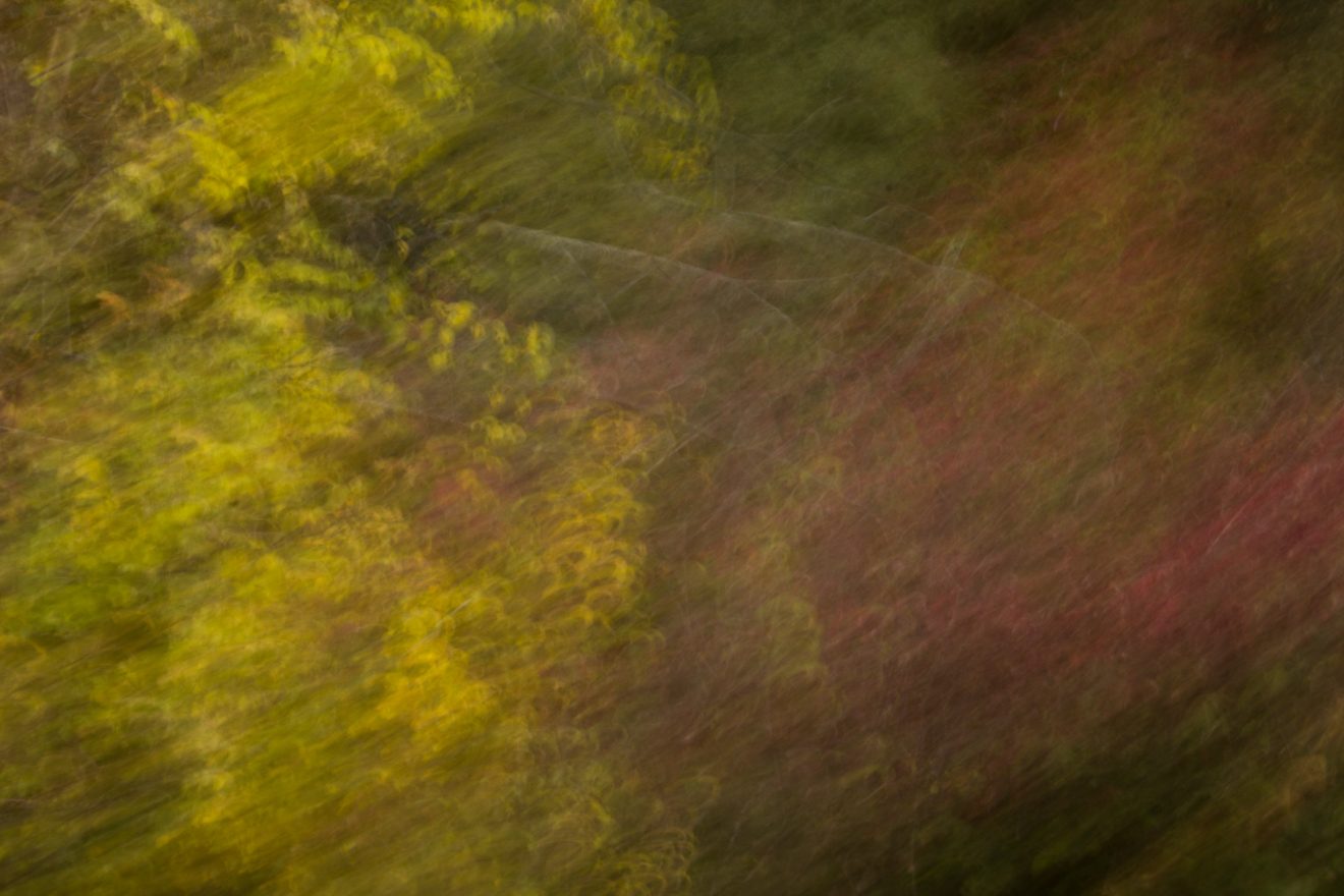 light texture blur painting photo yellow fuzzy trees desktop - Texture X