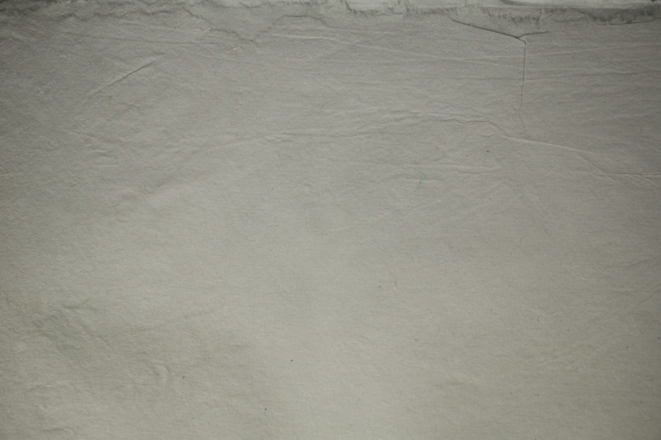 paper texture crumpled hand made rough soft parchment - Texture X