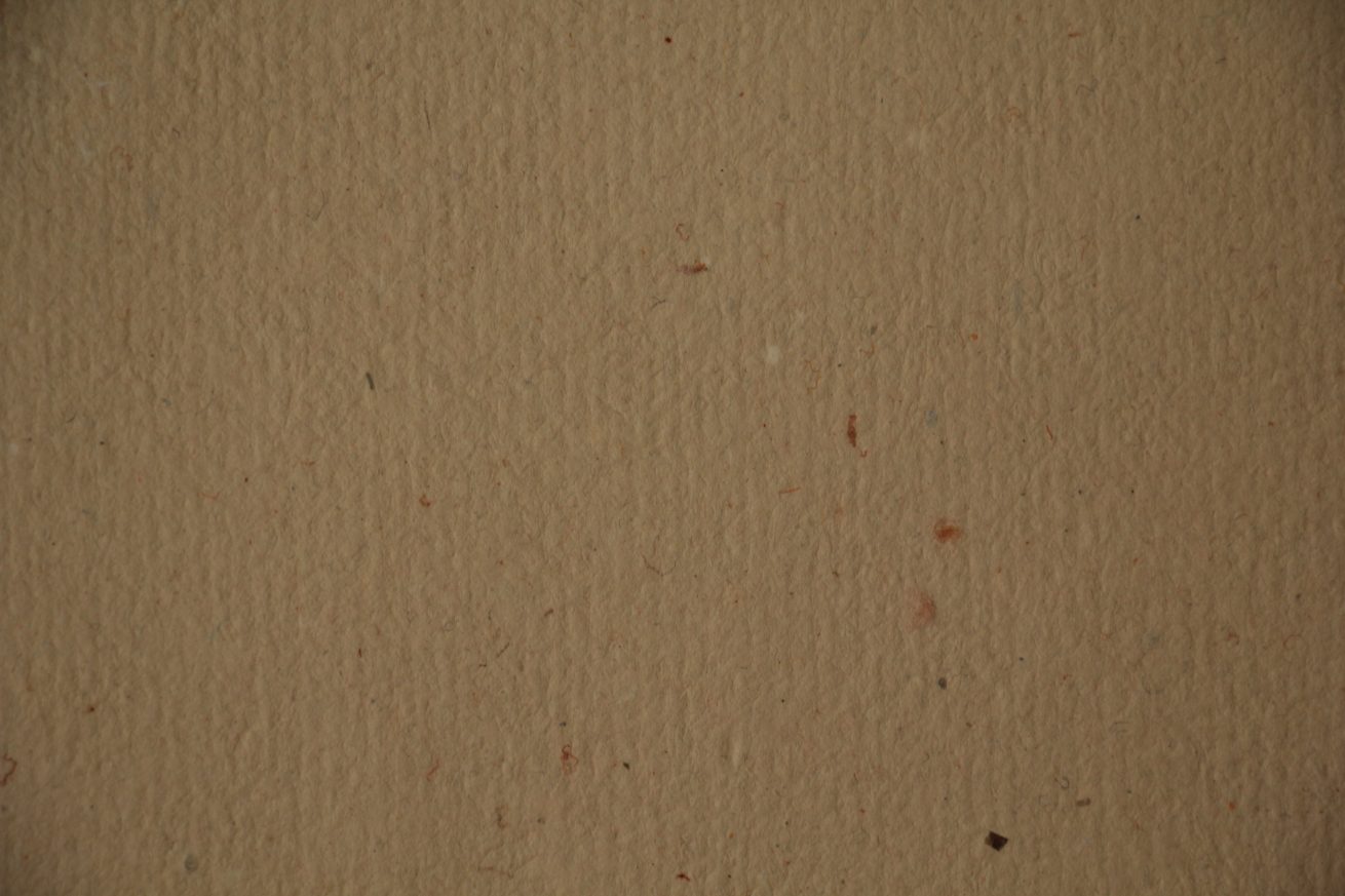 paper texture hand made cardboard hard grain pulp parchment - Texture X