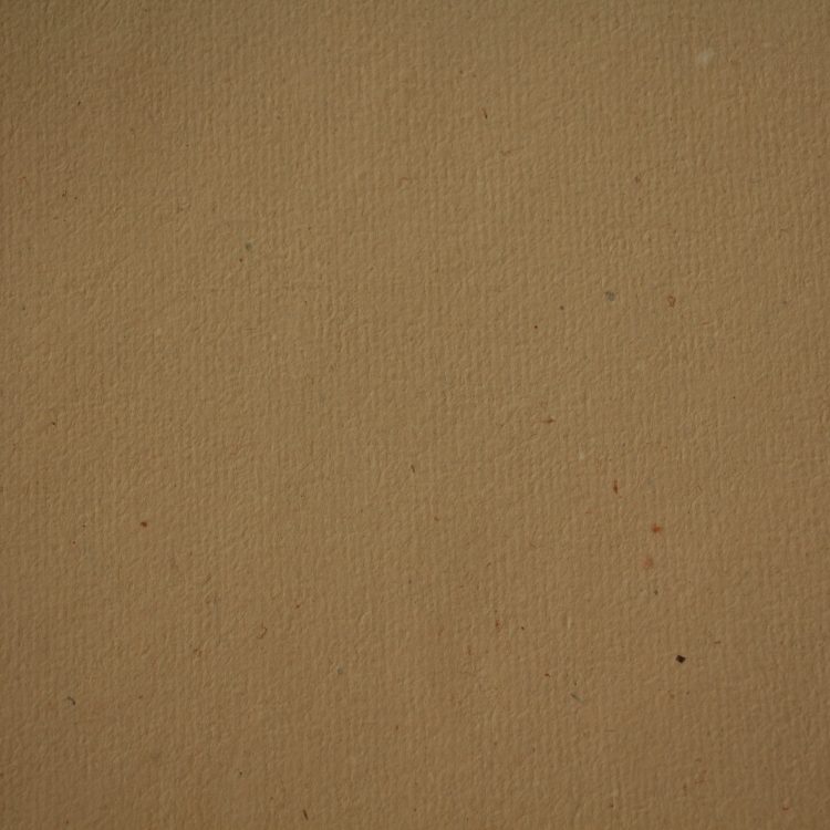 paper texture crumpled hand made rough soft parchment - Texture X