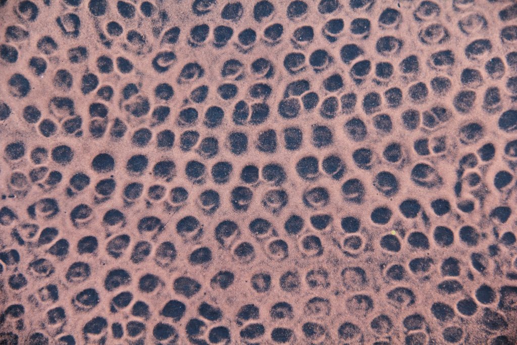 pitted copper metal texture outdoor fireplace stock photo - Texture X