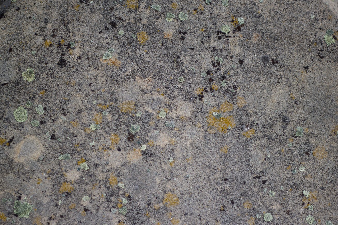 rock texture lichen grunge spotted natural old dirty rough photo ...