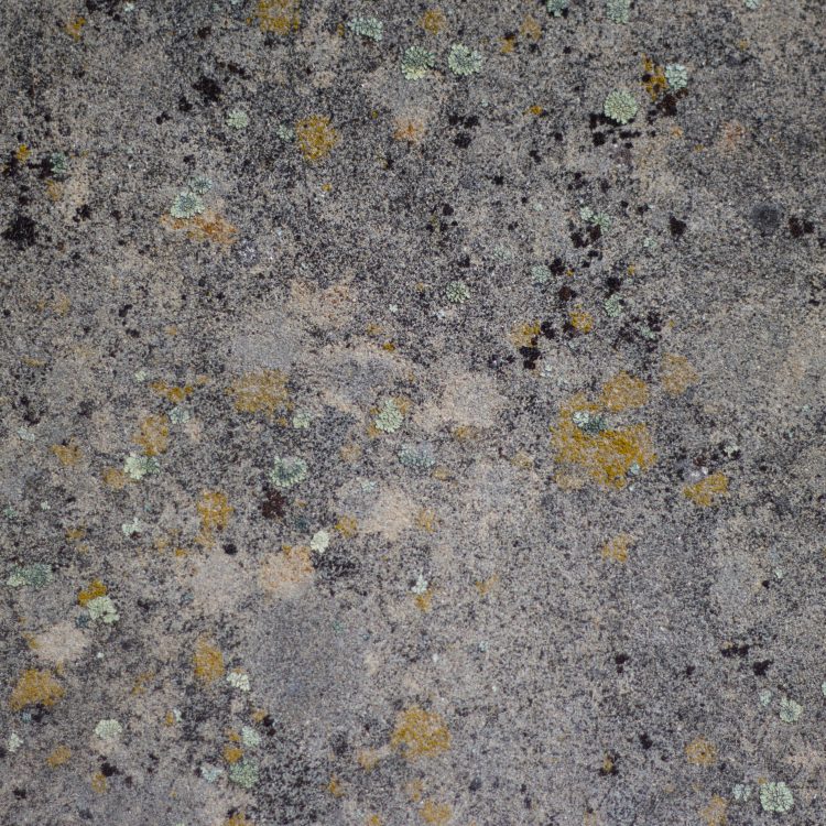 Texturex Grunge Free Stock Photo Texture - Texture X