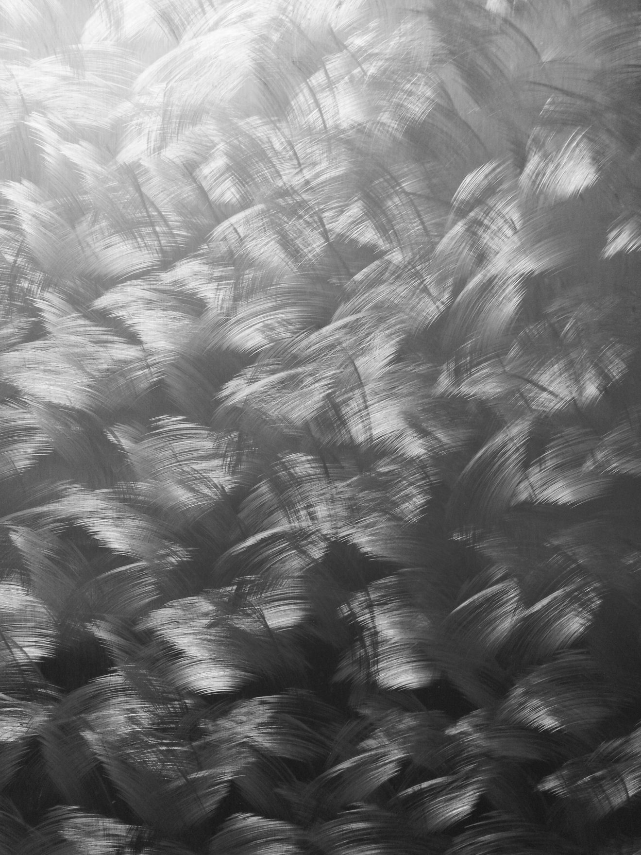 sanded metal texture brushed swirl stainless steel photo - Texture X