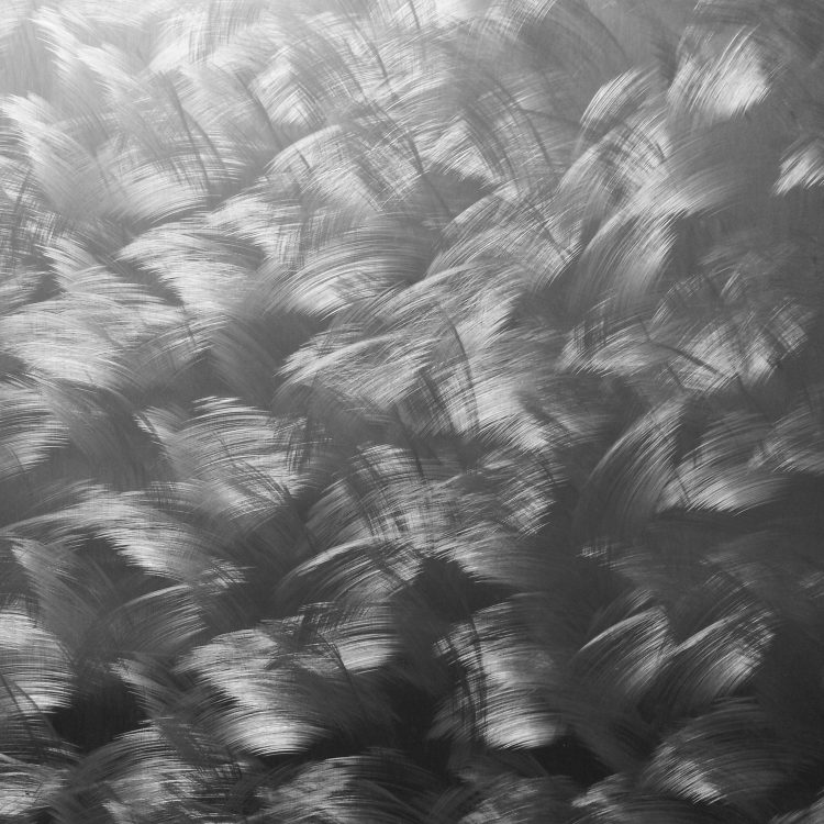 dark brushed metal texture steel black stock photo scratch wallpaper ...