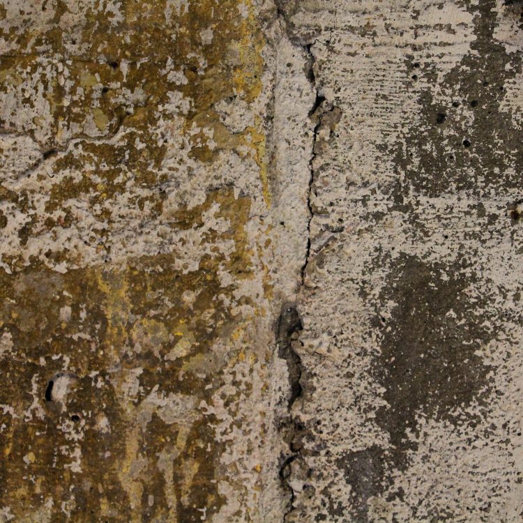 rock texture lichen grunge spotted natural old dirty rough photo ...