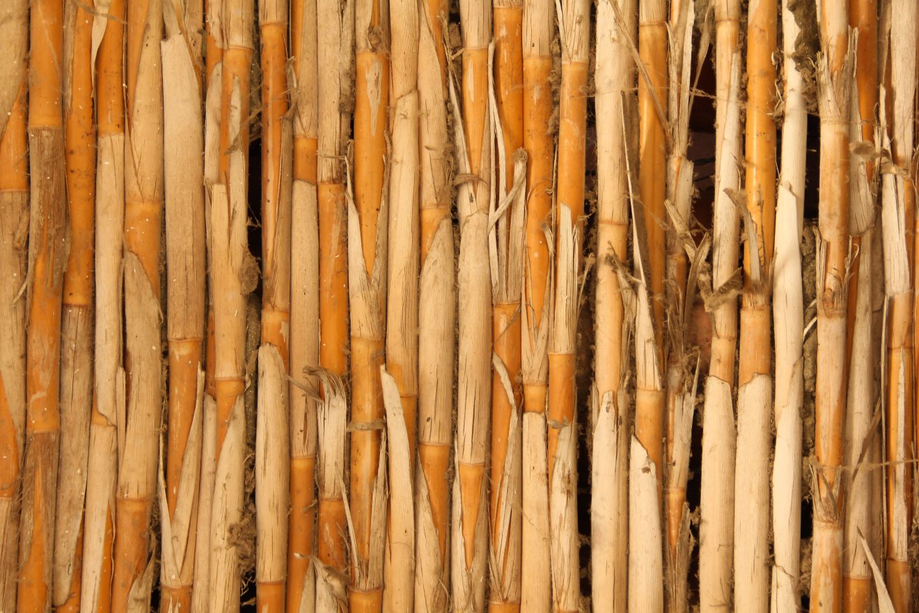 wood texture stick fence bamboo grass natural stock photo - Texture X