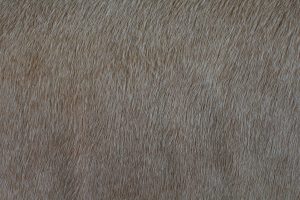 Fabric artificial hair pattern texture - Texture X
