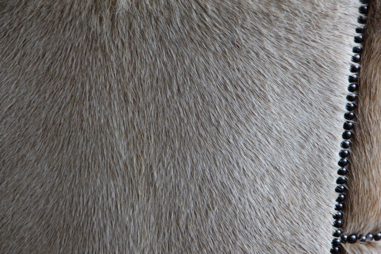 Fabric photo accent chair with hair touch - Texture X