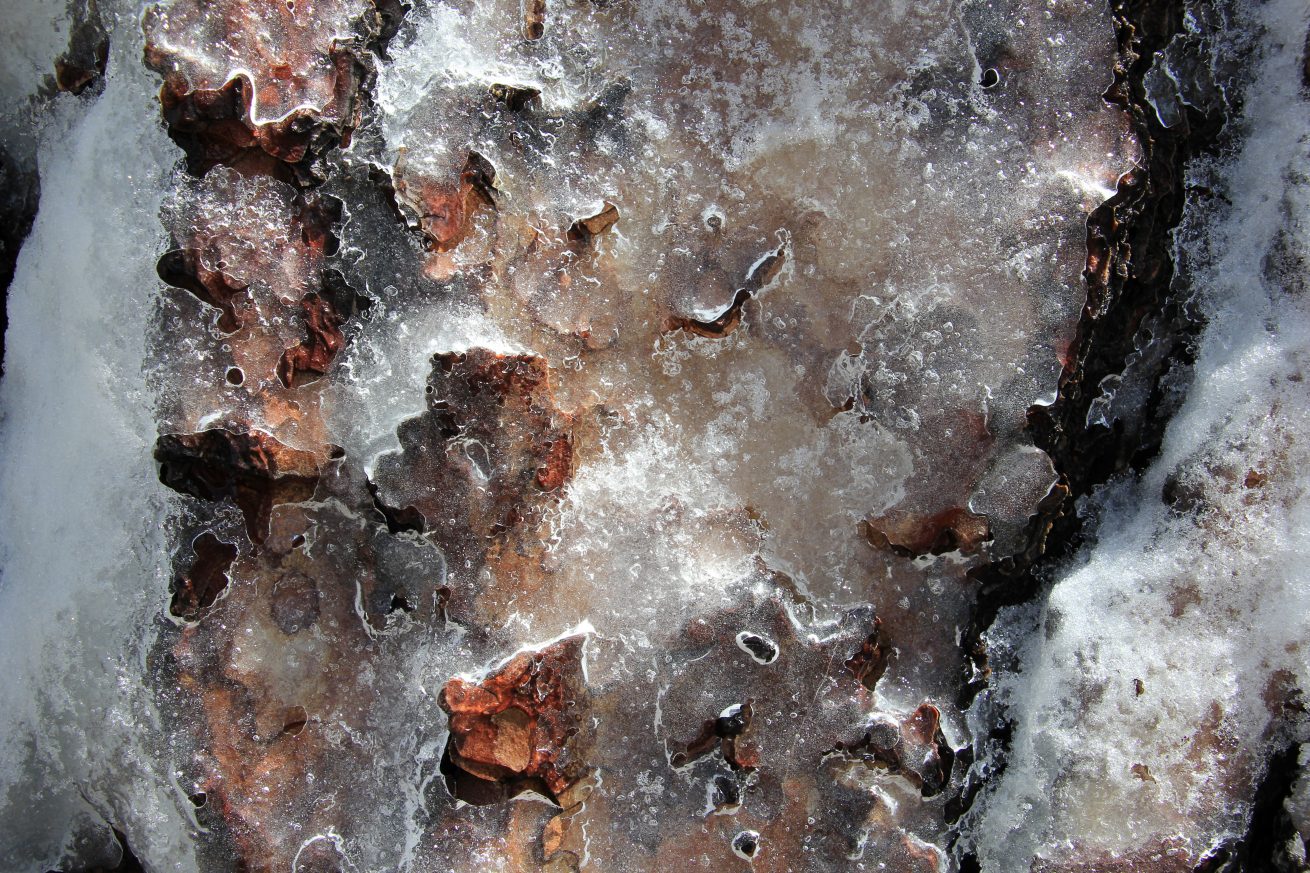 Ground ice icicles rock underneath - Texture X