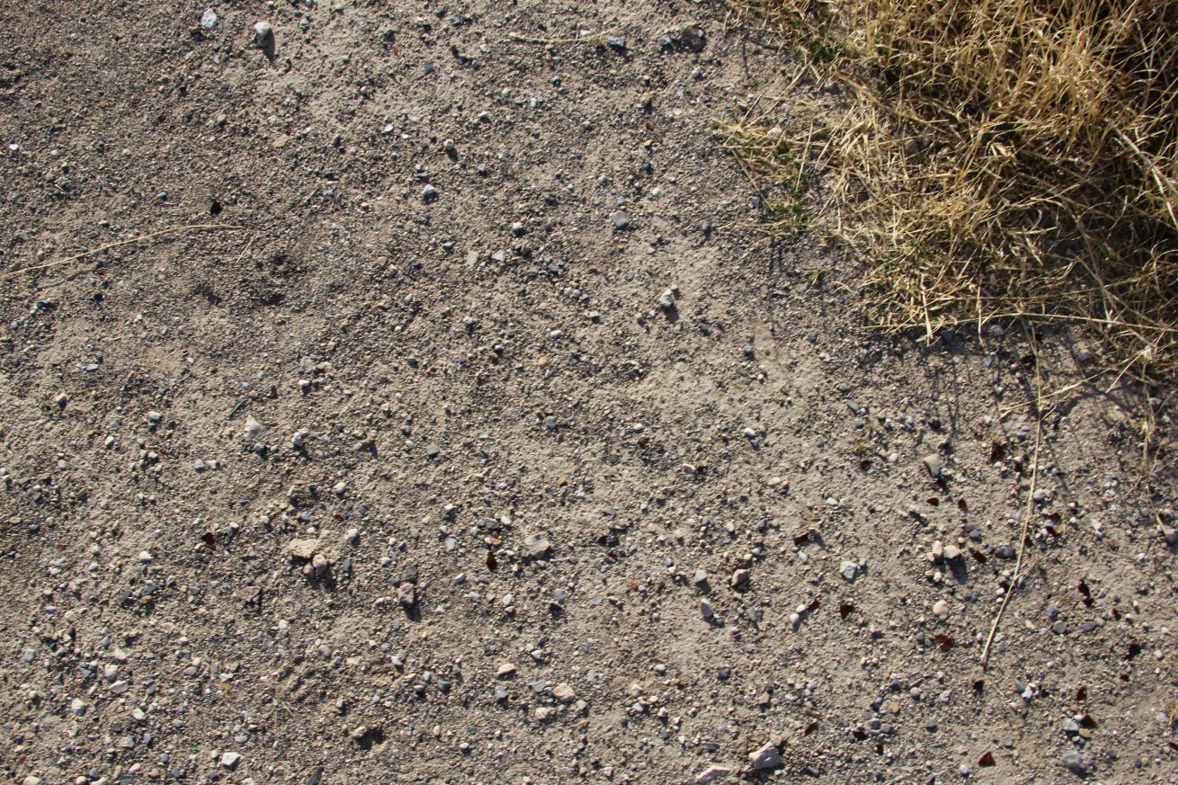 Ground mountain hike clean - Texture X