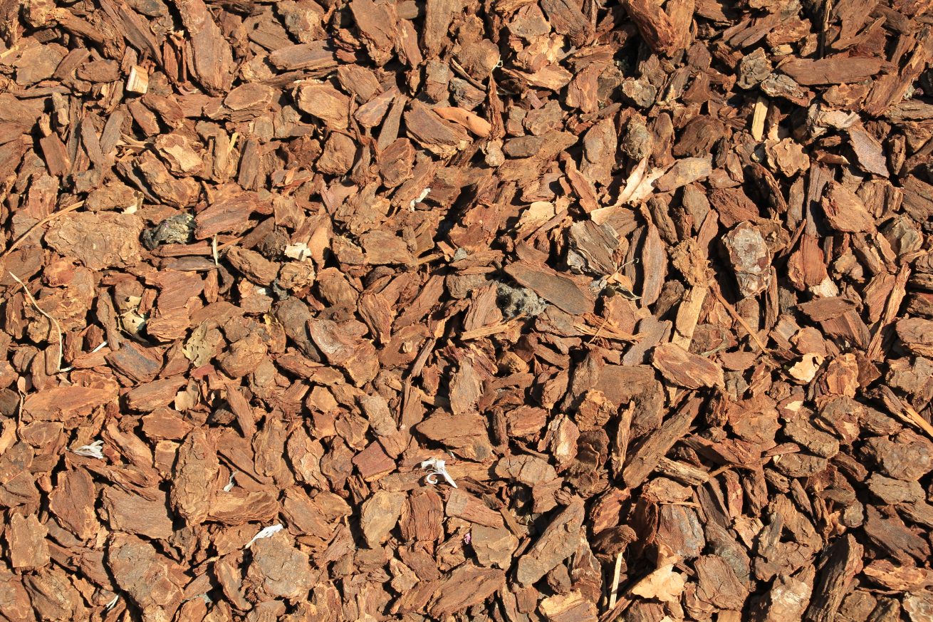 Ground texture wood sticks - Texture X