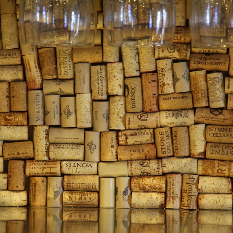 texturex natural vine sand dune plant life flower city Texture - Texture X