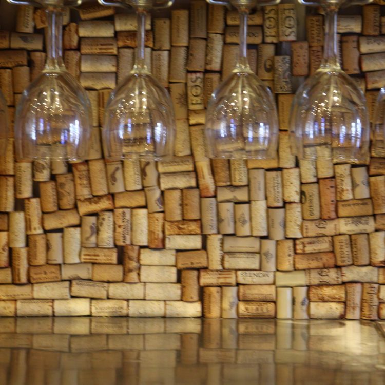 texturex natural vine sand dune plant life flower city Texture - Texture X