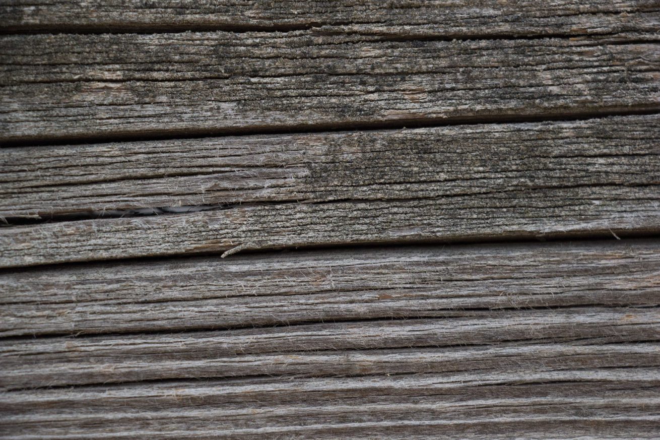 Wood Texture Slithers Of Insides Excellent - Texture X