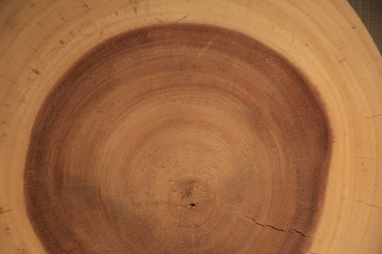 Wood Texture Two Loops Wonderful - Texture X